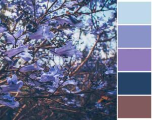 12 Best Warm and Blue Color Palettes with Names and Hex Codes - Pro ...