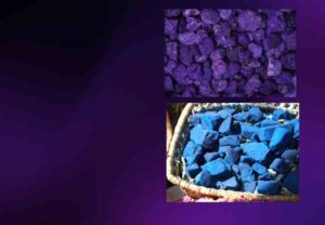 What are complementary colors? Guide to Color Theory and Design - Pro ...